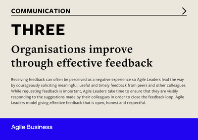 Agile Leadership: Principle 3