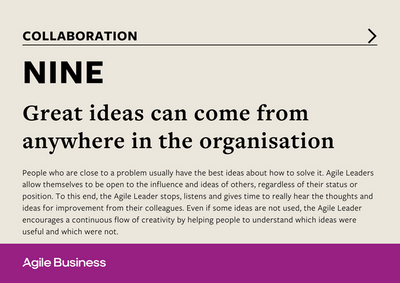 Agile Leadership: Principle 9